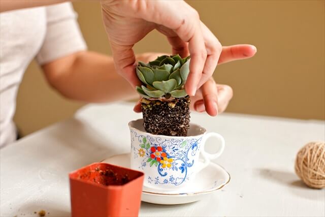 10 Cool DIY Tea Cup Ideas DIY To Make 10-cool-diy-tea-cup-ideas-diy-to-make