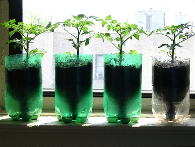 16 Recycled Bottle Planters | DIY to Make