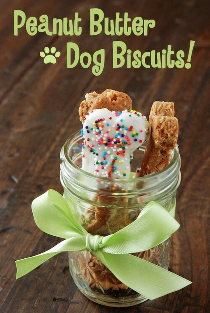 65 Recipe For Dog Biscuits With Peanut Butter – DIY to Make