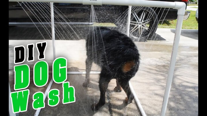 32 Best DIY Dog Washing Ideas That You Will Love – DIY to Make