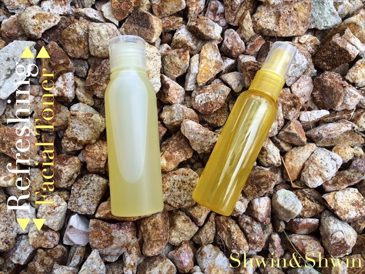 42 DIY Toner Cheap and Easy To Use – DIY to Make