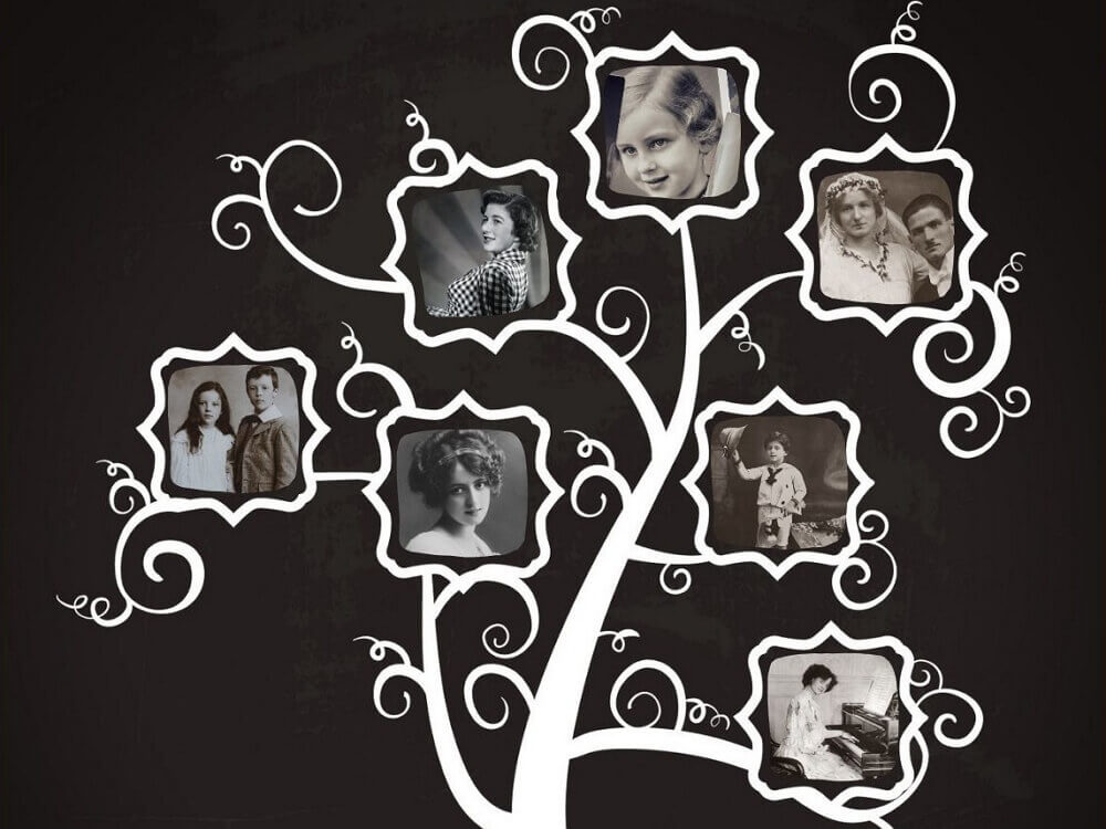 How to Make a DIY Chalkboard Family Tree – DIY to Make