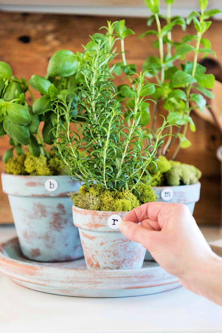 30 Genius DIY Herb Garden Ideas in 2021 {Updated}