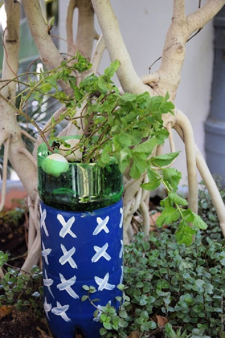15 Planter Ideas Using Empty Wine Bottle – DIY to Make