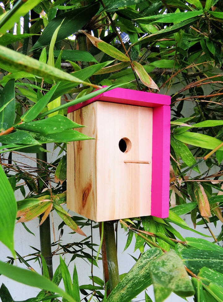 35 Free DIY Birdhouse Plans and Ideas {2021 Updated}