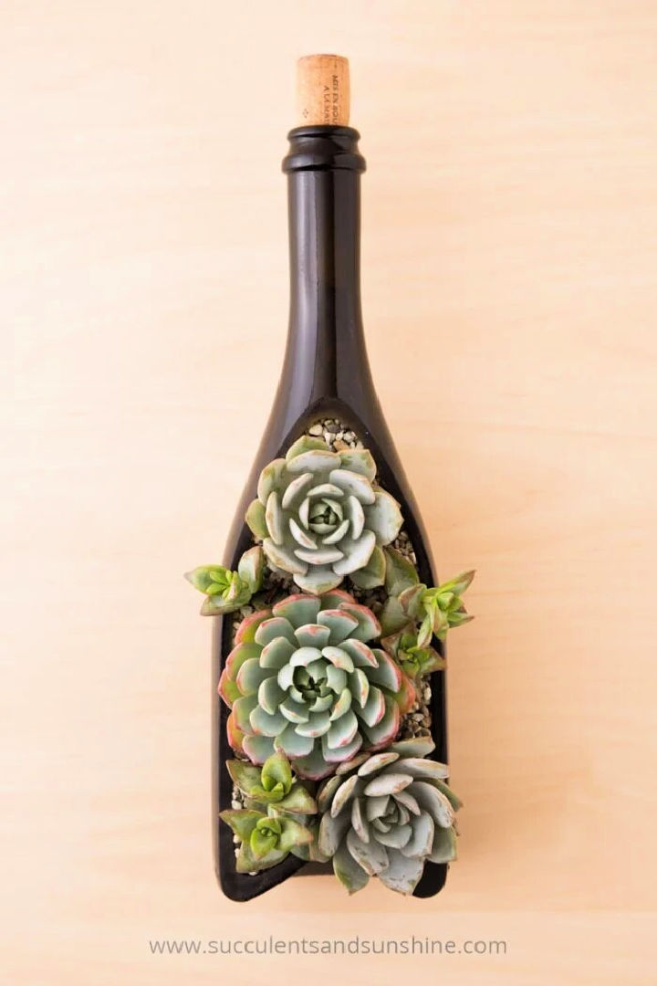 15 Planter Ideas Using Empty Wine Bottle – DIY to Make